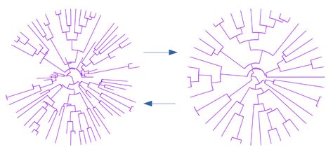 R Arrows Between Plots Stack Overflow