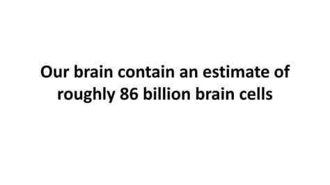 Metacognitive And Brain Information Presentation Ppt Free Download