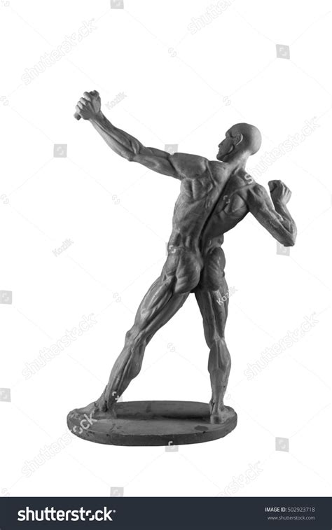 Plaster Statue Naked Anatomical Human Figure Stock Photo Edit Now