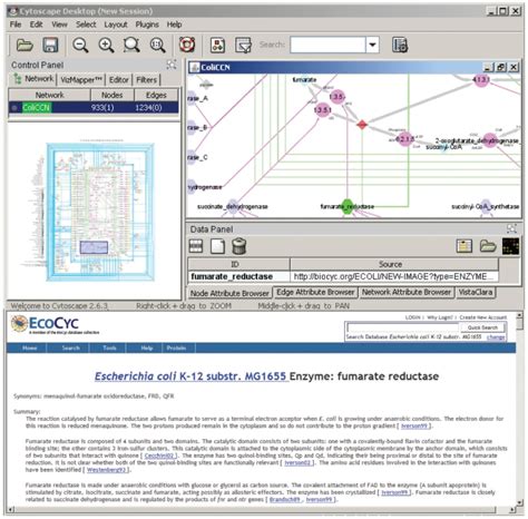 Cytoscape Allows Linking Any Component Of The Network Node Or Edge To