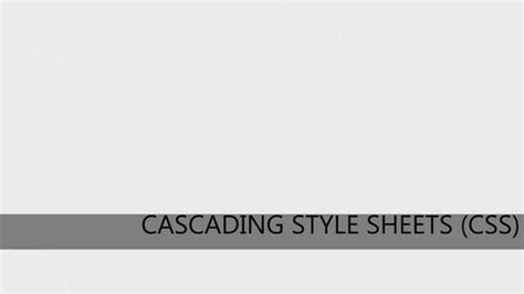 Introduction To Cascading Style Sheets Css Ppt Web Design And
