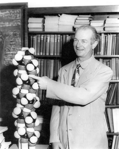 Alpha Helix Linus Pauling