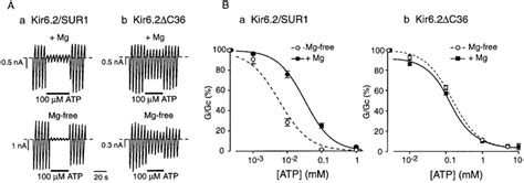 A Macroscopic Currents Recorded From Inside Out Patches Excised From