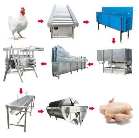 Poultry Processing Equipment In Visakhapatnam By New Nu Id 2854955005933