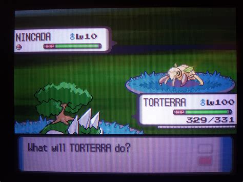 Shiny Nincada Emerald