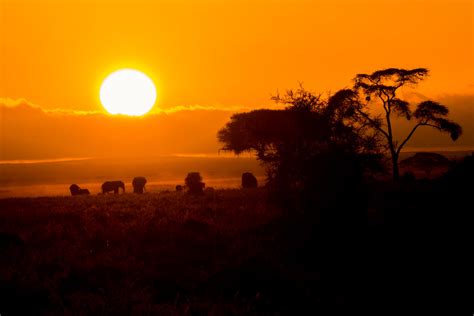 Sunrise Amboseli National Park Kenya Published Link Flickr