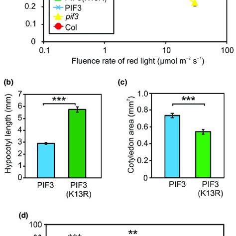 Sumoylation Of Pif3 Results In Reduced Biological Activity In Light