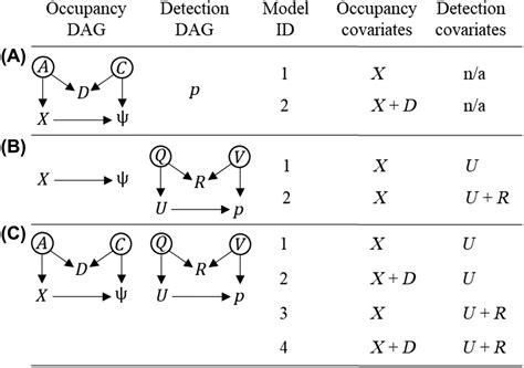 Model Selection In Occupancy Models Inference Versus Prediction Stewart 2023 Ecology