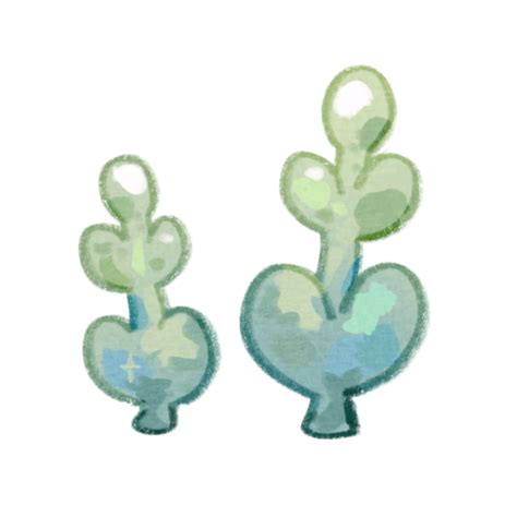 Colsentia Bacopa Monnieri