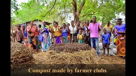 Chisi Island 3 Weeks Old Gardens Youtube