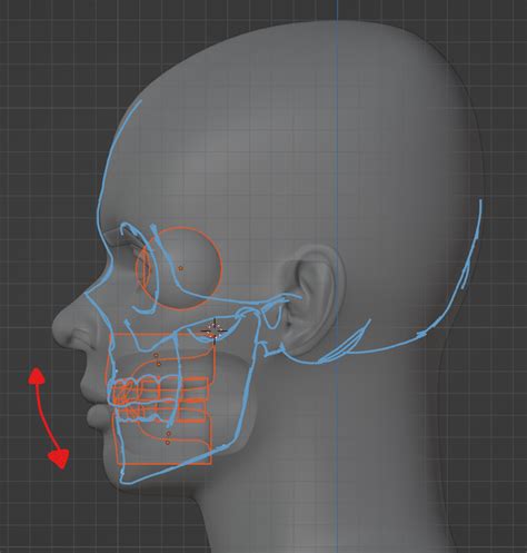 Modeling How Do I Properly Make A Shape Key Of A Male Jaw Blender Stack Exchange