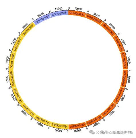 单细胞高分图片复现（独家代码附上）之系列（三）： 高分主fig 富集分析圈图 知乎