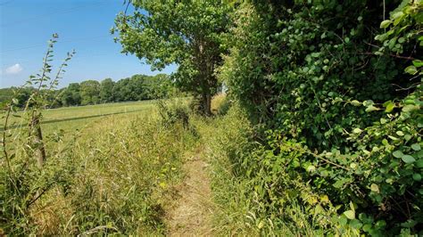 Botley Circular Walk Before The New Botley Bypass Is Built