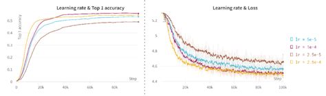 The Loss Curve And Top 1 Accuracy Here Demonstrate Tiny Imagenet