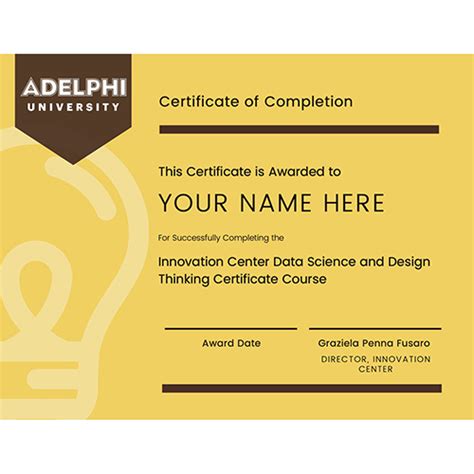 IBM Skills Academy At Adelphi University
