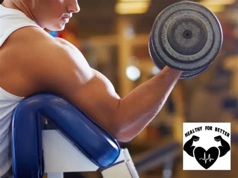 How Much Weight You Should Be Lifting For Bicep Curls Females Vs Males