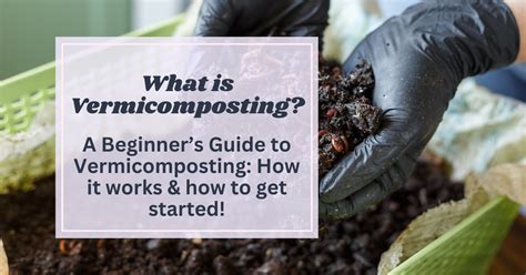 What Is Vermicomposting The Worm Spot What Is Vermicomposting The Worm Spot