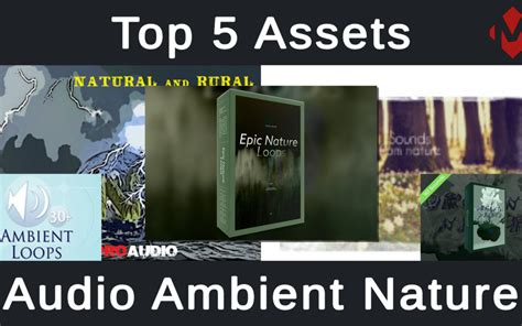 Top 5 Unity Assets Audio Ambient Nature Projectmakers