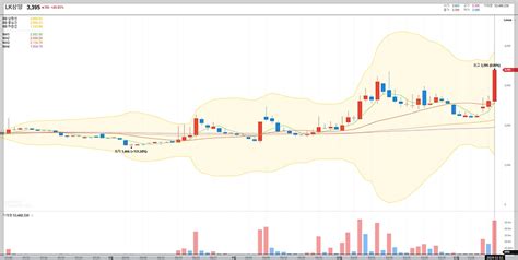 Lk삼양 주가 전망 2024년 배당금 전망과 투자 전략