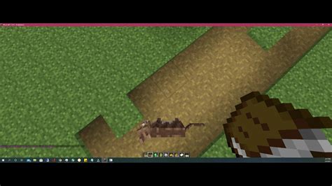 Copy And Paste In Minecraft Worldedit For Free 2021 Youtube