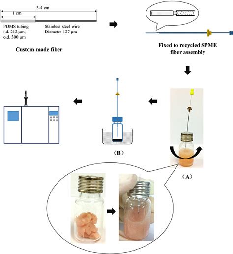 Schematic Diagram Of Extraction And Derivatization Procedures A The Download Scientific
