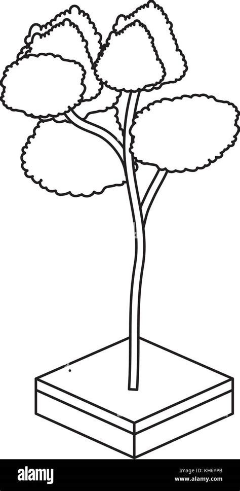 Isometric Tree Design Stock Vector Image Art Alamy
