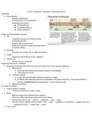 Lecture Digestion Absorption And Transport Part II Lecture Digestion Absorption And