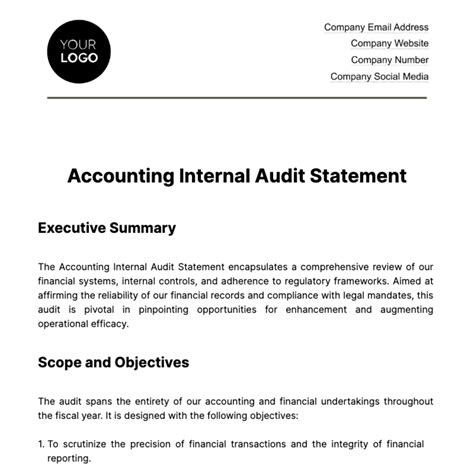 Accounting Internal Audit Statement Template Edit Online And Download