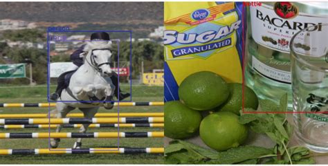 Pretraining Faster Rcnn Vit Detection Model On Pascal Voc