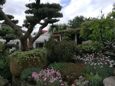 ნინო ციხისთავი