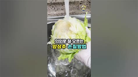 의외로 잘 모르는 양상추 손질방법💡 살림팁 생활꿀팁 꿀팁 Youtube