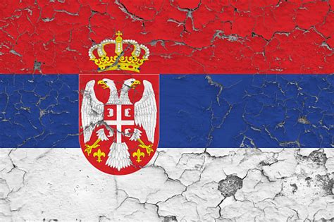 세르비아의 국기는 금이 더러운 벽에 그린 빈티지 스타일 표면에 국가 패턴입니다 0명에 대한 스톡 사진 및 기타 이미지 0명