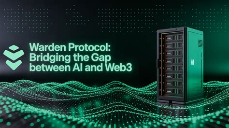 Ocean Protocol Ambassador Program Full Guide Learn Connect And Grow