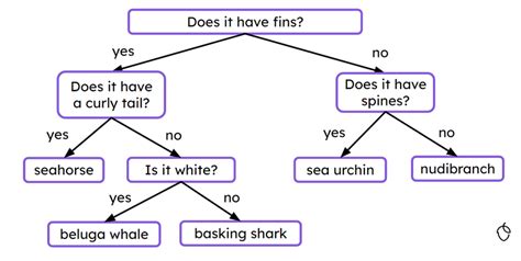 Classification Keys To Identify Plants Ks2 Y4 Science Lesson Resources Oak National Academy