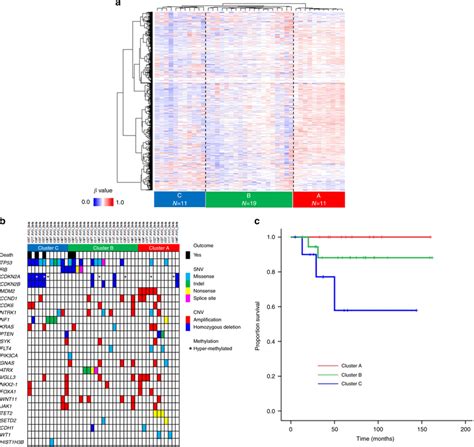 dna methylation profiling and integrated analysis a unsupervised