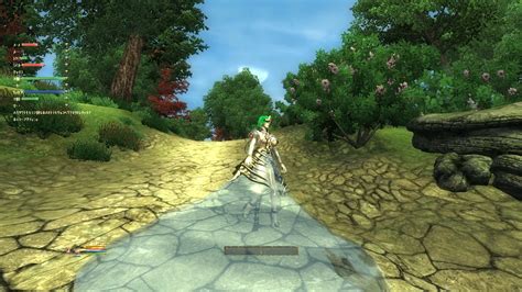 Odd Ui Problem Oblivion Technical Support Loverslab