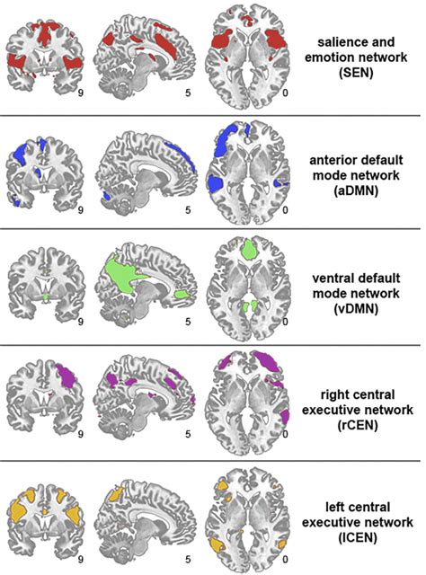Distinct Neural Correlates Of Trait Resilience Within Core Neurocognitive Networks In At Risk