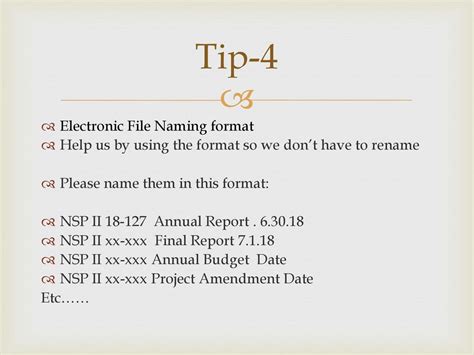 Nurse Support Program Ii Ppt Download