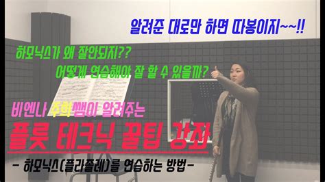 플룻 하모닉스플라졸레는 왜 연습을 해야 하나요 비엔나 주희쌤 Youtube