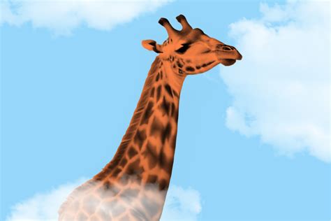 Carbon Credits And Offsetting I Dots Eco