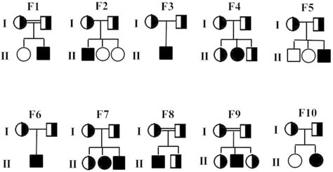Pedigree Structure And Segregation Analysis Of Families Affected By