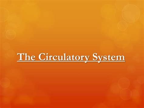 The Circulatory System Worksheetpdf Heart And Cardiovascular Diseases Diseases And Conditions