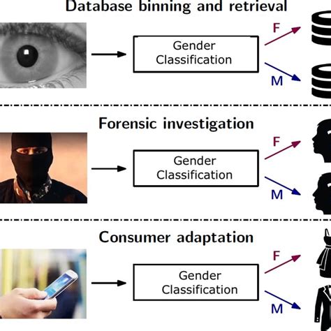 different application scenarios where soft biometrics such as gender
