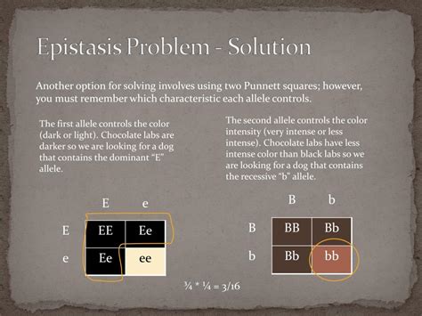 PPT Complex Inheritance Patterns PowerPoint Presentation Free Download ID 4060451
