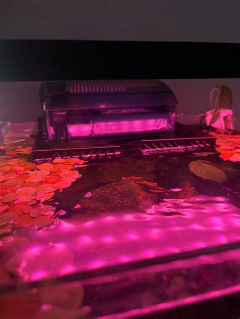 Aquarium Flow Diverter Remixed By Okseklumpen Makerworld Download Free 3d Models