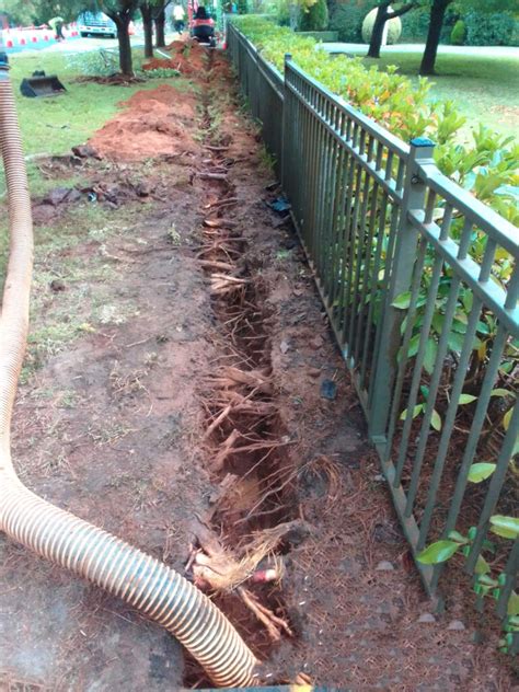 Root Mapping And Tree Root Exposure Kingsmen Ndd Vac Truck Hire