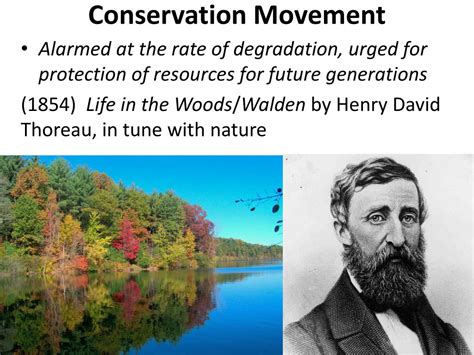 Conservation Movement Wikipedia