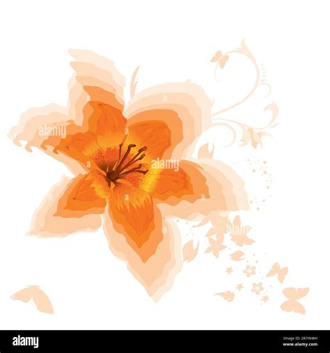 Beautiful Orange Lily Vector Stock Vector Image Art Alamy