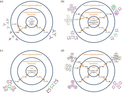 Relationship Between Cage Skeleton Topology And The Resulting Net Of Download Scientific