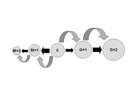Resource Allocation Strategies Under Varying Levels Of Resource